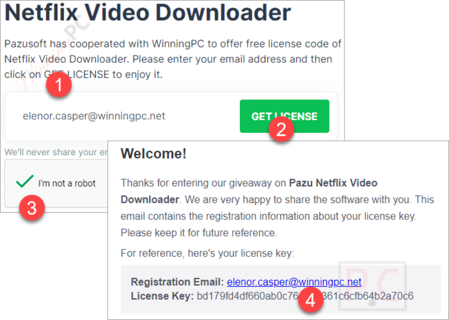 Pazu Netflix Video Downloader 1-Year License Key Free