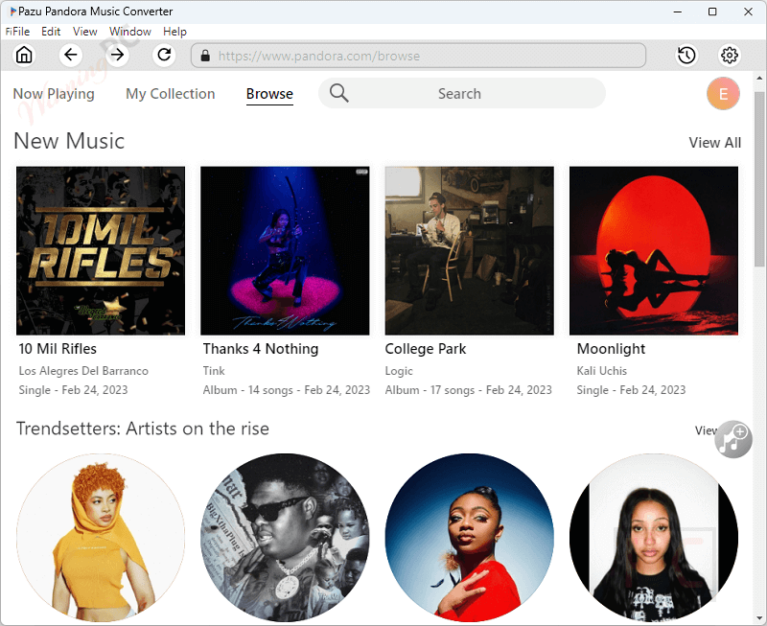 Pazu Pandora Music Converter License Key Free