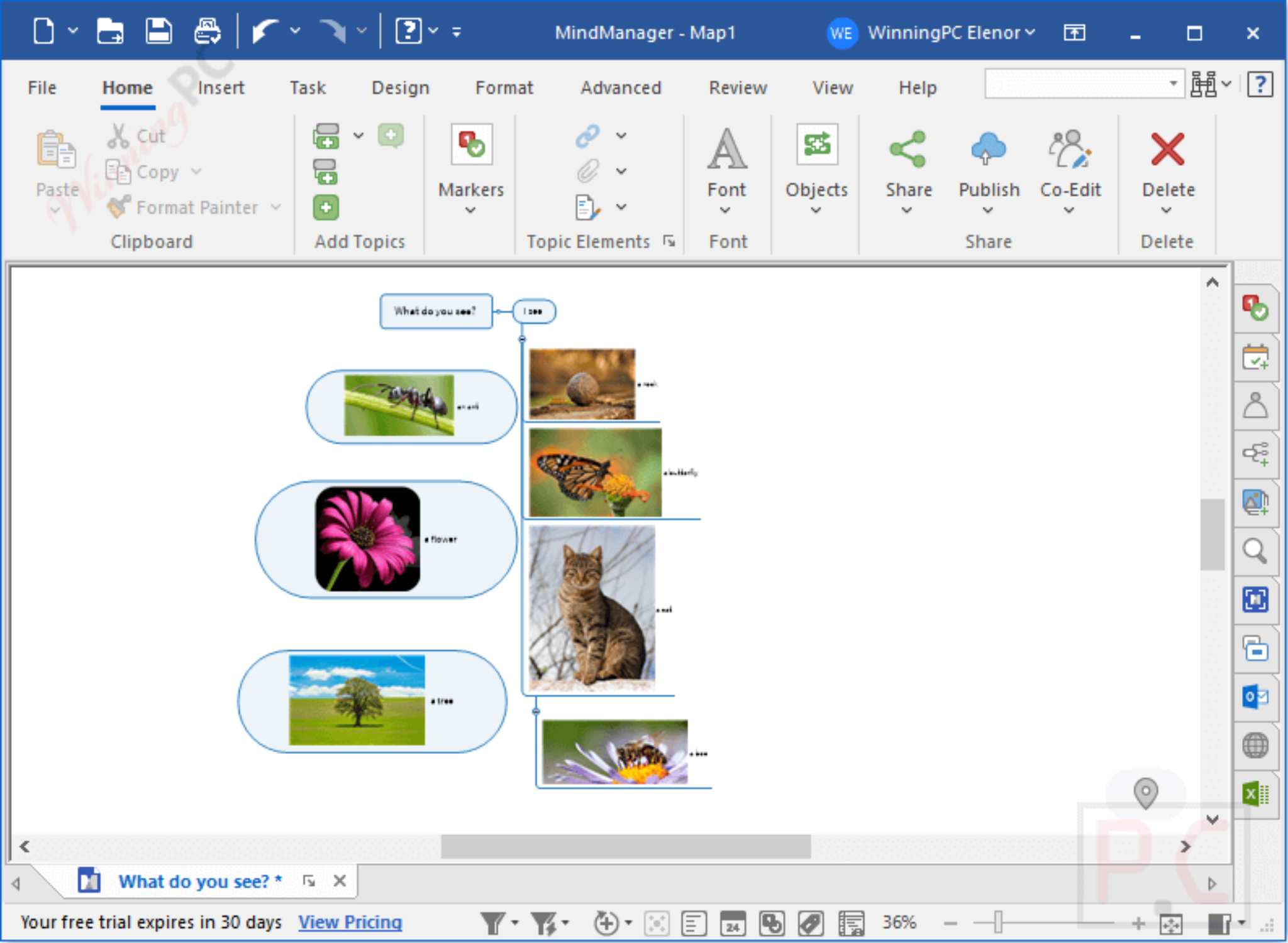 MindManager 67% Off Coupon Code 2026 (100% Working)