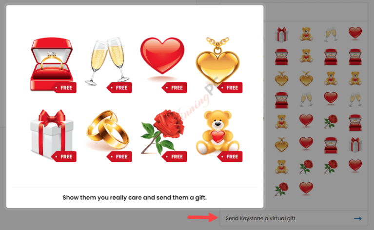 PremiumPress Dating Theme 50% Off Coupon Code 2026