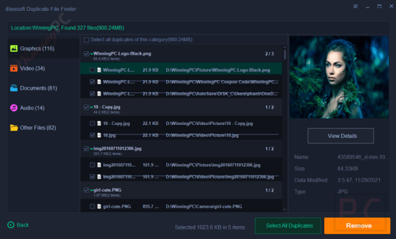 iBeesoft Duplicate File Finder 1-Year License Code Free