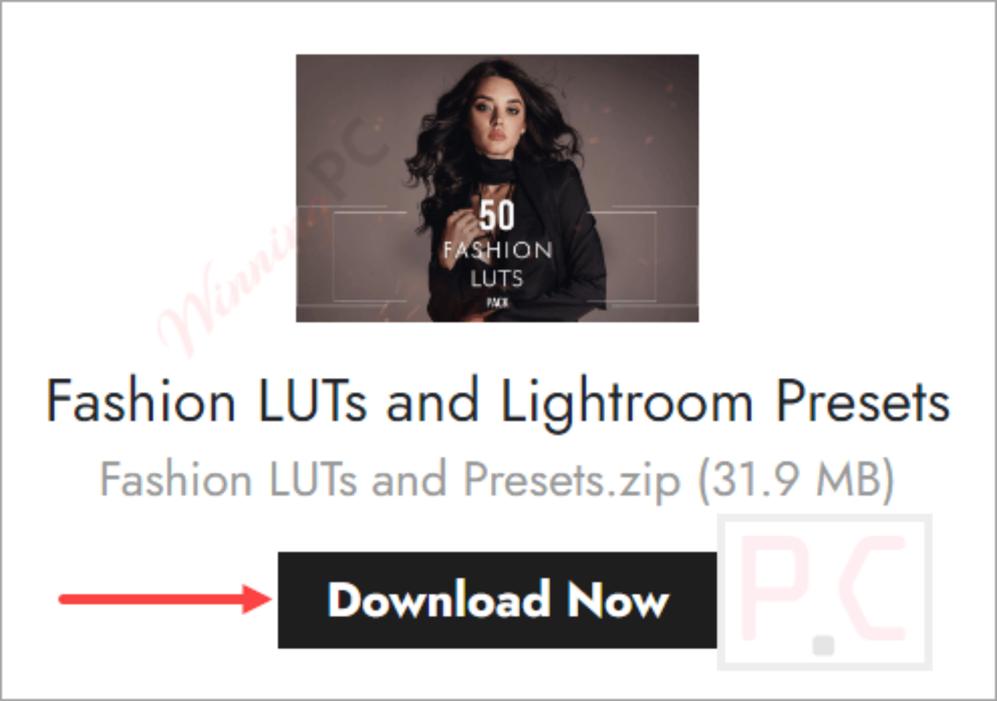 Fashion LUTs and Lightroom Presets Free Download