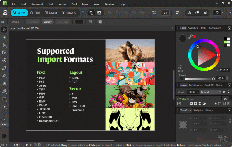 Affinity Is Now Free: Professional Design App for Everyone