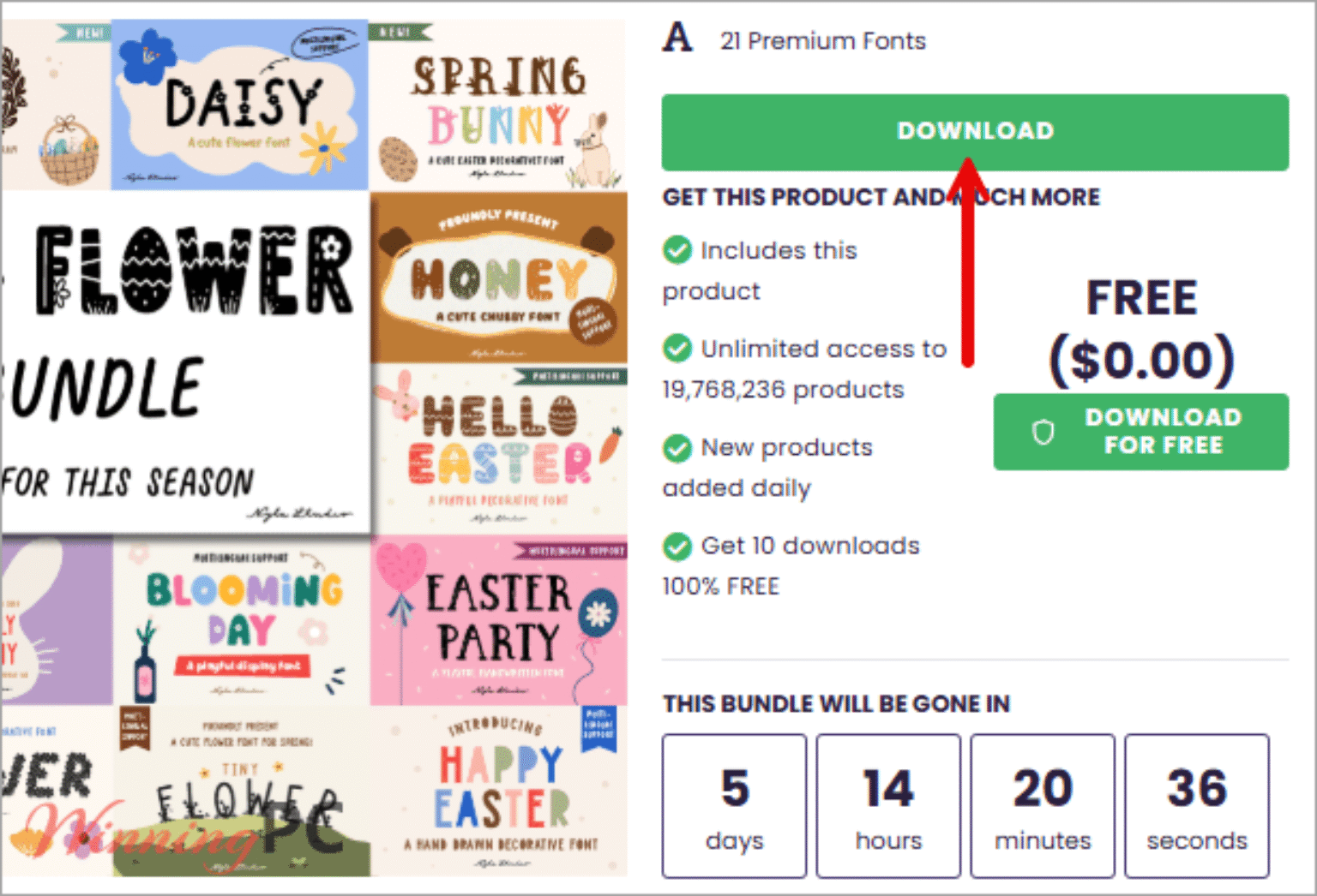 The Easter and Flower Font Bundle Giveaway Download